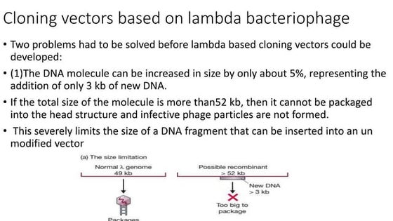 Cosmids vector | PPTX | Genetics | Science