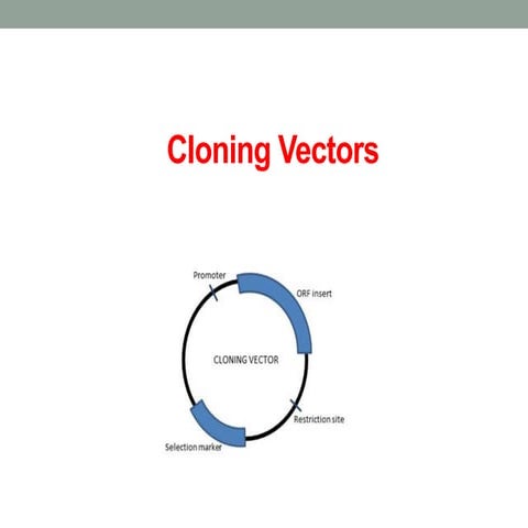Molecular Cloning - Vectors: Types & Characteristics