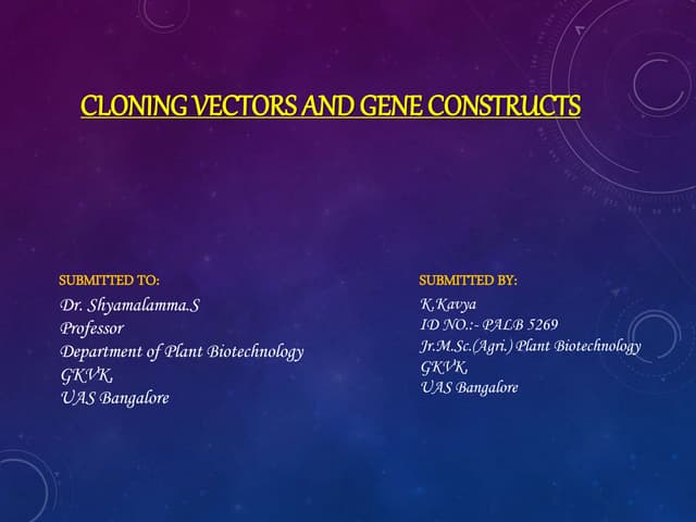 shuttle vectors ppts.pptx