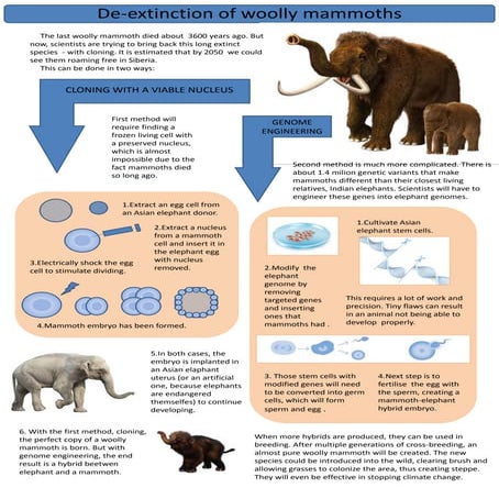 Clonning ana pejovic | PDF