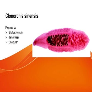 Clonorchis sinensis (Liver flukes).pptx