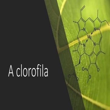 Clorofila | PPTX