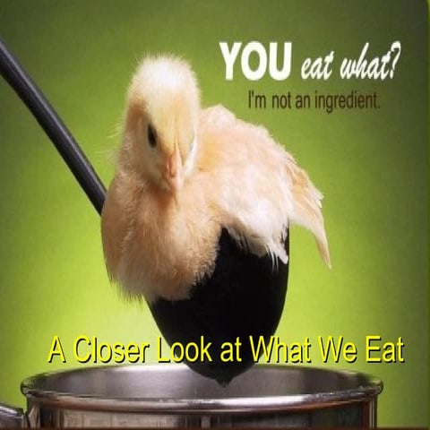 Take a closer look at your food, Yum Yum Yum-Veganism | PPT