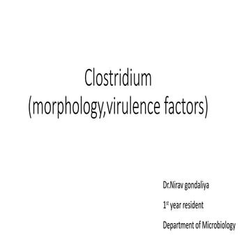 clostridia morphology and virulence factors | PPTX