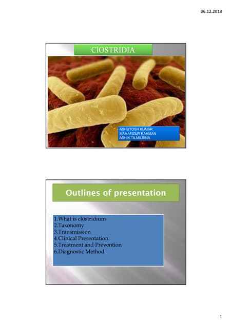 Clostridium.pptx | Chemistry | Science