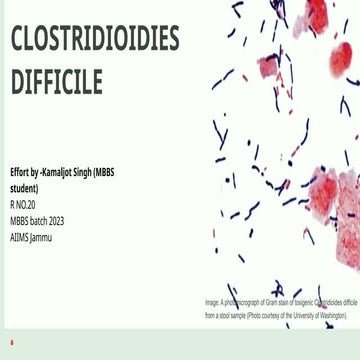 CLOSTRIDIOIDIES-DIFFICILE modified.pptx_20250420_201204_0000.pptx