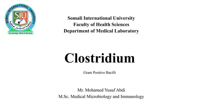 Clostridium spp. (Practical Medical Microbiology, 13) | PDF