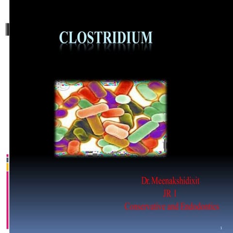 Clostridium spp. (Practical Medical Microbiology, 13) | PDF