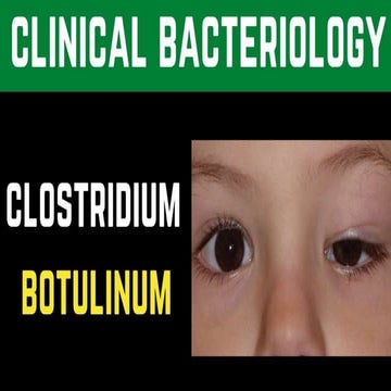 Clostridium Botulinum Bacteria | Clinical Bacteriology | Microbiology ...