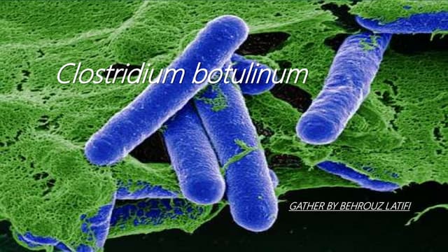 Clostridium botulinium(Microbiology)