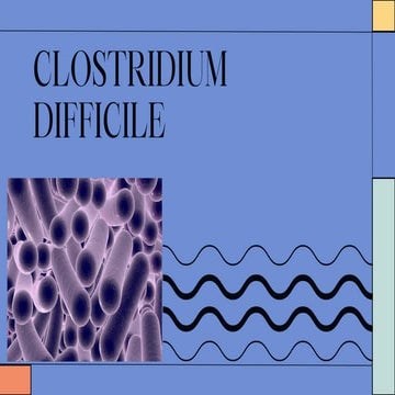 CLOSTRIDIUM DIFFICILE BACTERIOLOGIA .pdf