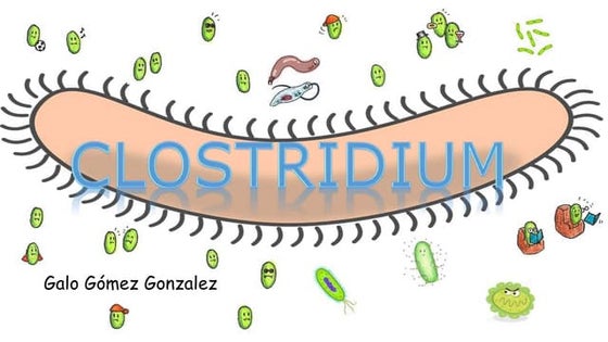 New Registration ftr | PDF