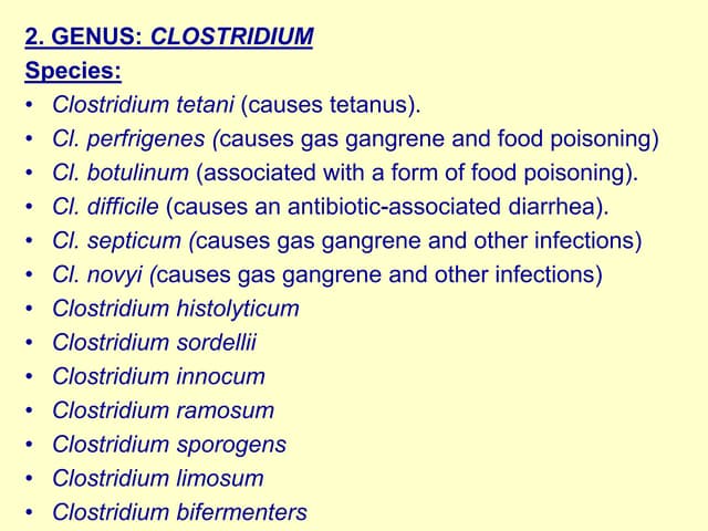 Clostridium spp. (Practical Medical Microbiology, 13) | PDF