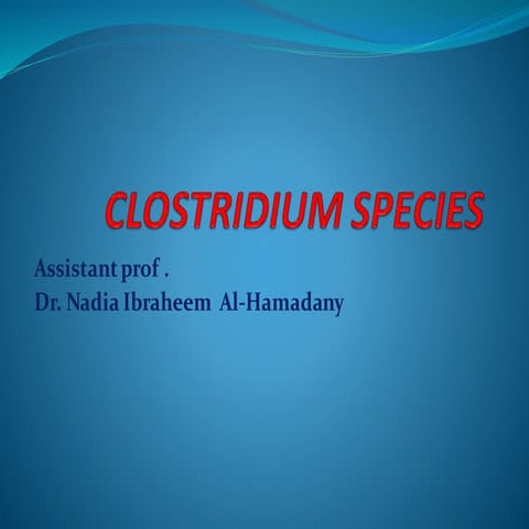 Clostridium species.pdf