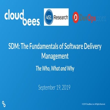 Sdm The Fundamentals Of Software Delivery Management Pdf