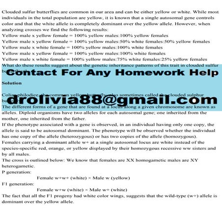 Clouded sulfur butterflies are common in our area and can be either .pdf