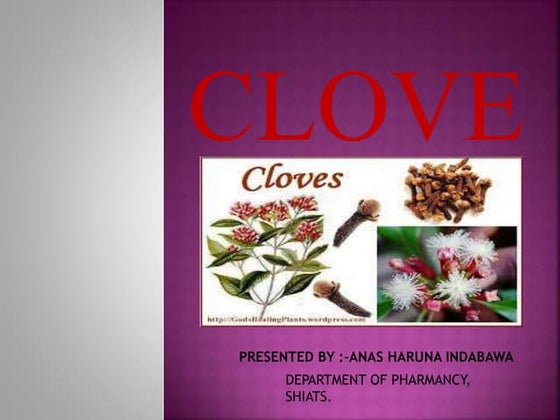 Clove | PPT