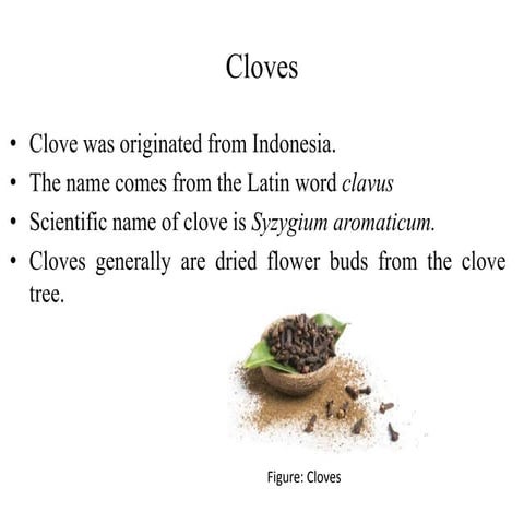 Cloves and its medicinal benefits | PPTX