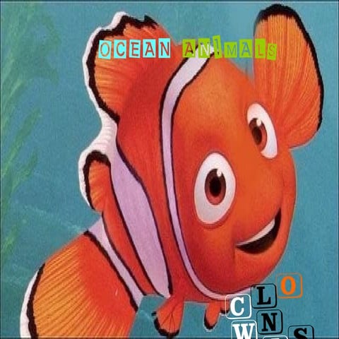 clown fish morphology , facts and breeding.pptx