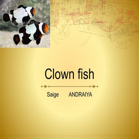 Clownfish | PPTX