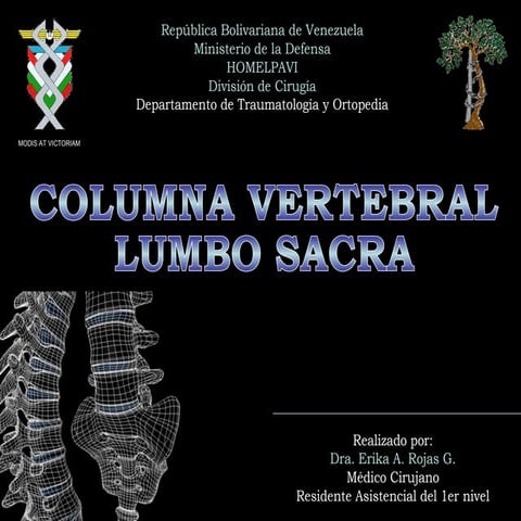 Columna Lumbosacra | PPT