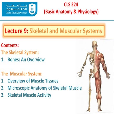 Anatomy and physiology of Musculoskeletal System | PPTX