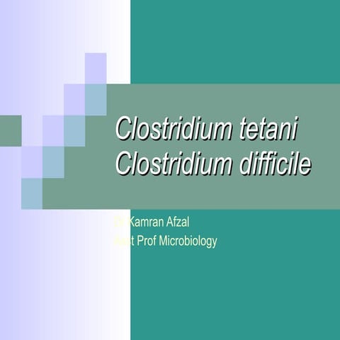 Cl tetani + cl difficile | PPT