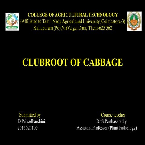 Clubroot of cabbage | PPTX