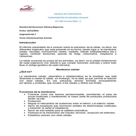 SAIW - Welding Inspector Level One | PDF