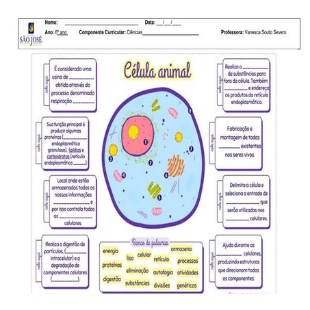 6th Grade Science Curriculum Overview by Professor Vanesca Souto Severo ...