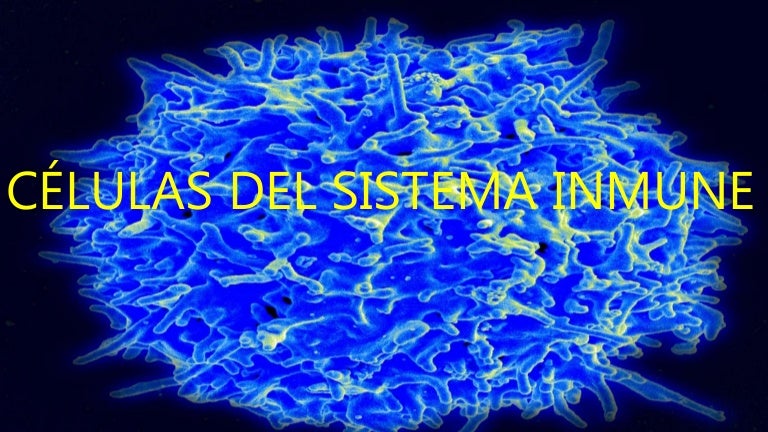 Células del sistema inmune