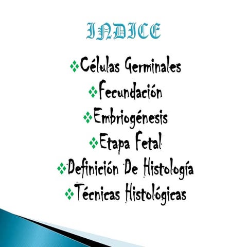 Células germinales, fecundación, embriogénesis, etapa fetal, histología ...