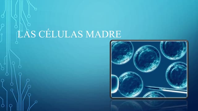 Las celulas madres alexandra ochoa y luis tasayco | PPTX