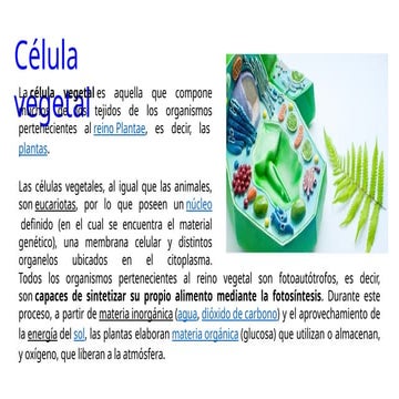 Célula Vegetal (Completa).pdf