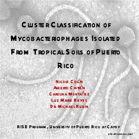 Alberto Assignment 2 | DOC