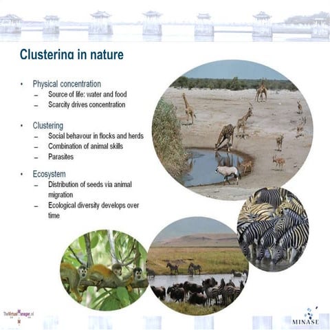 Cluster In Nature | PPT