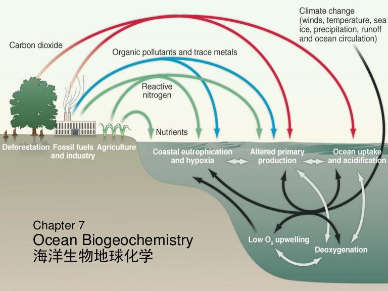 [CM2015] Chapter 7 - Biogeochemistry