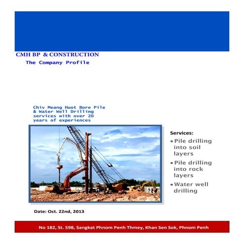 Cmh bp profile 2013 | PDF