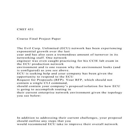 CMIT 451 Course Final Project Paper The Evil .docx