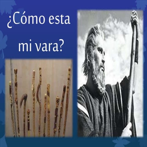 Cómo esta mi vara | PPTX