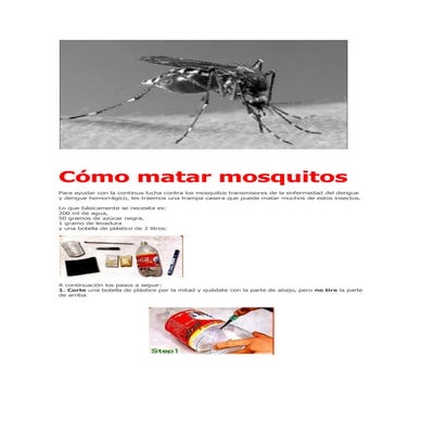 Cómo matar mosquitos | PDF