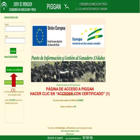 Modificar Censo. Gestión de Guías Ganaderas. Ganadería 2.0 Guadalinfo ...