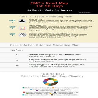 CMO Road Map 1st 90 Days | PDF