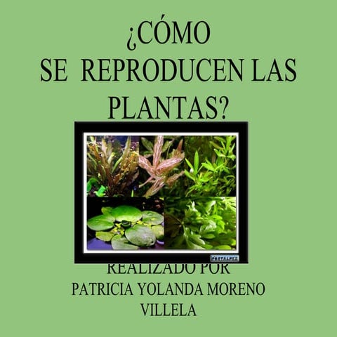 ¿Cómo se reproducen las plantas | PDF