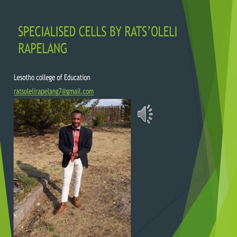 SPECIALIZED CELLS | PPTX