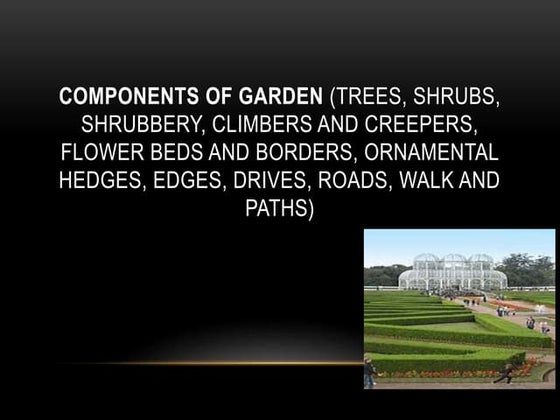 Topiary | PPT