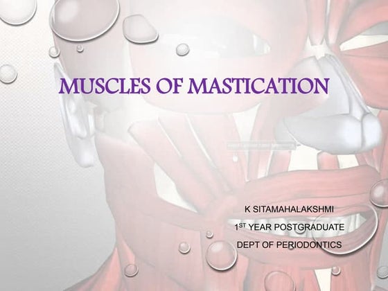 Anatomical landmarks of mandibule | PPT