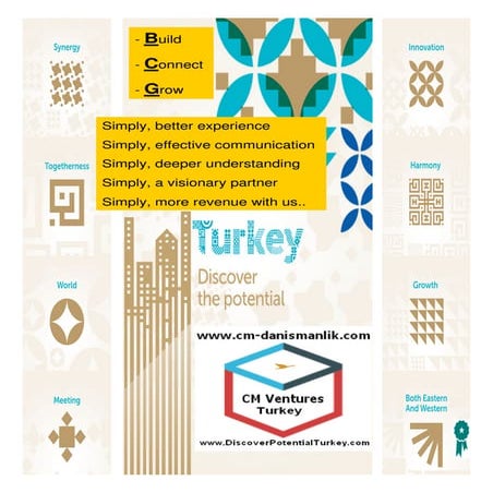 CM Ventures Finance investment Management Consulting a4 form www ...