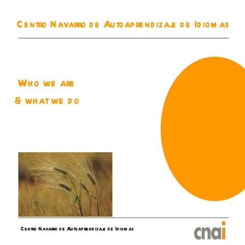 Cnai presentation kick off (2) | PPT