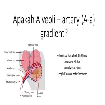 Apakah A-a gradient? Alveoli-artery di ICU | PPTX